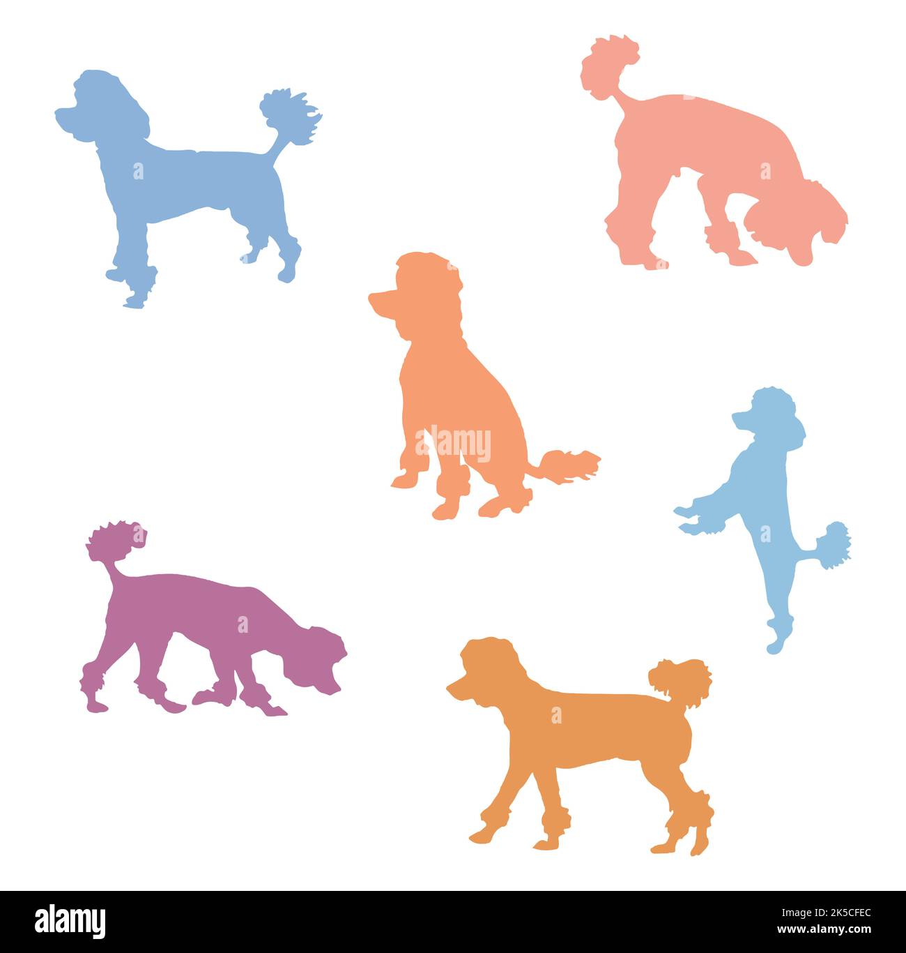 Pudel hund Stock-Vektorgrafiken kaufen - Alamy