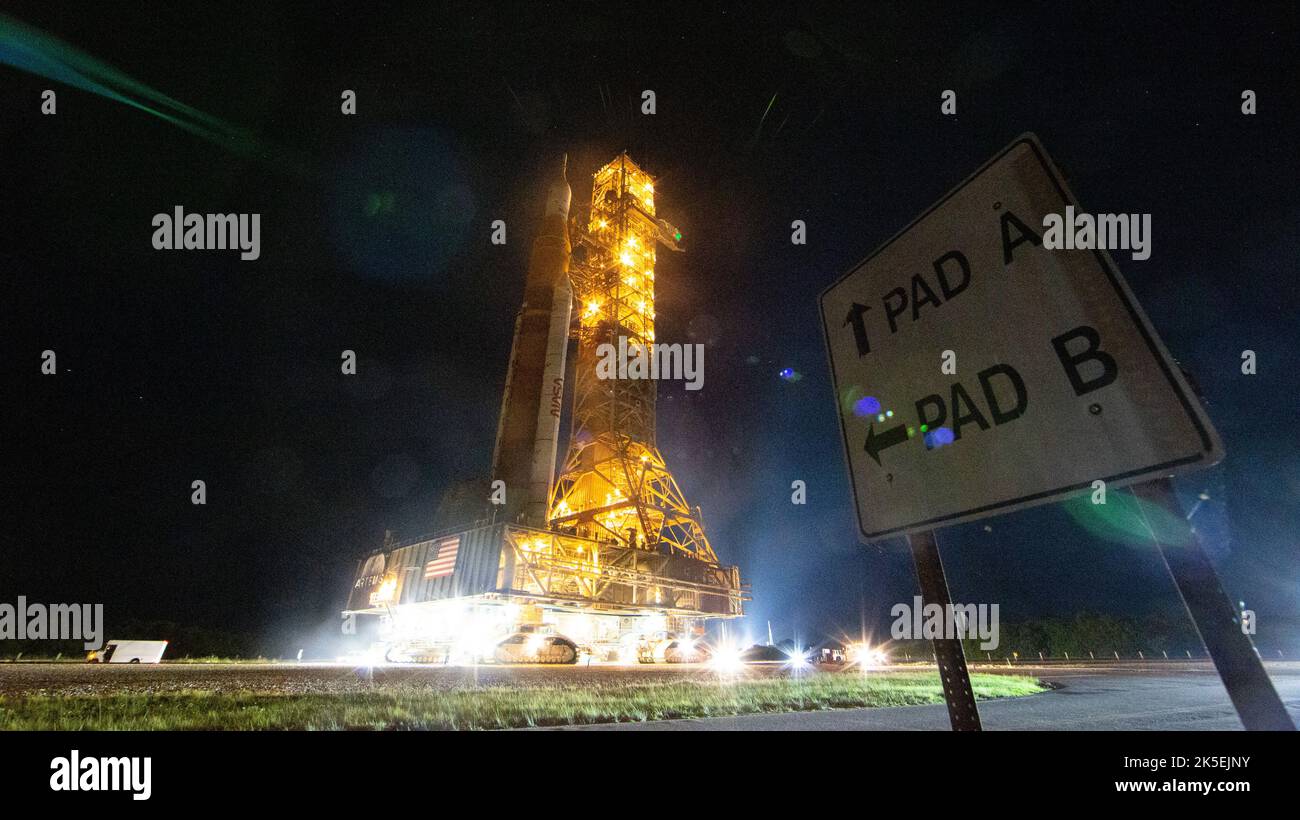 Umbilical system -Fotos und -Bildmaterial in hoher Auflösung – Alamy