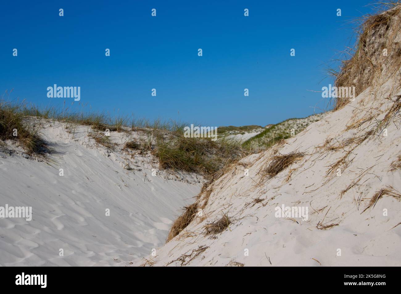 Strand auf amrum island -Fotos und -Bildmaterial in hoher Auflösung – Alamy