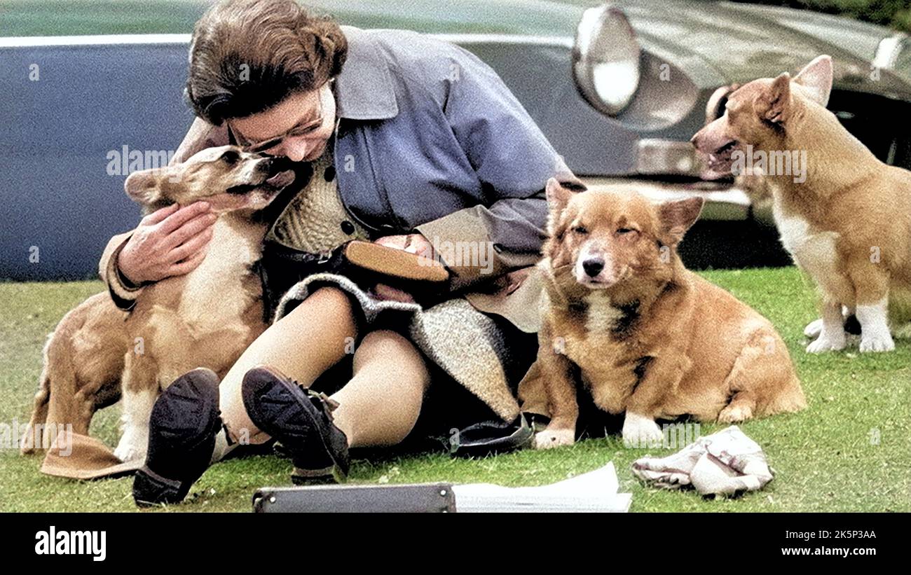 Britische kronenhunde -Fotos und -Bildmaterial in hoher Auflösung – Alamy