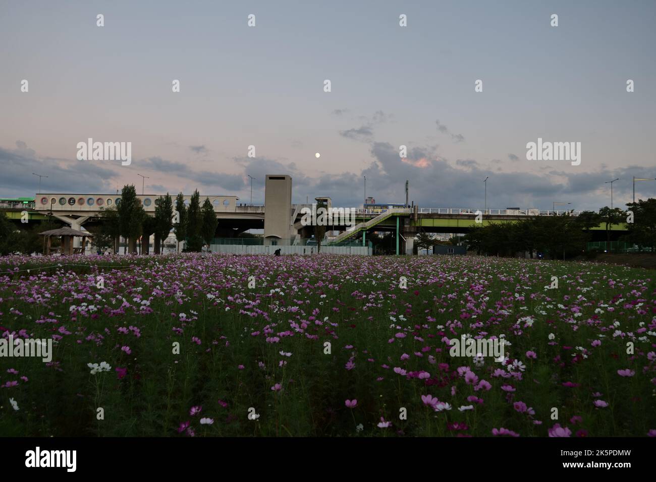 Turm und kosmos -Fotos und -Bildmaterial in hoher Auflösung – Alamy