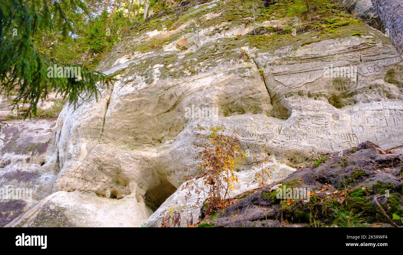 Die großen Sandsteinfelsen von Sietiniezis am Ufer des Flusses Gauja in ...