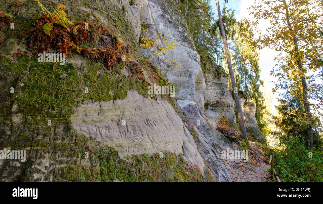Die großen Sandsteinfelsen von Sietiniezis am Ufer des Flusses Gauja in ...