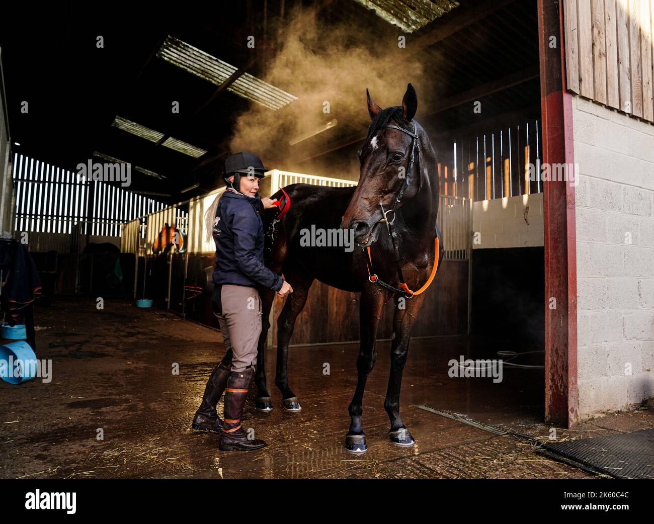 Ein Pferd wird nach einem Galopplauf in Sam Drinkwater's Granary ...