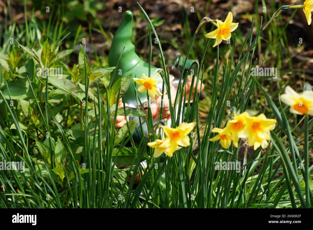 Holz zwerge -Fotos und -Bildmaterial in hoher Auflösung – Alamy