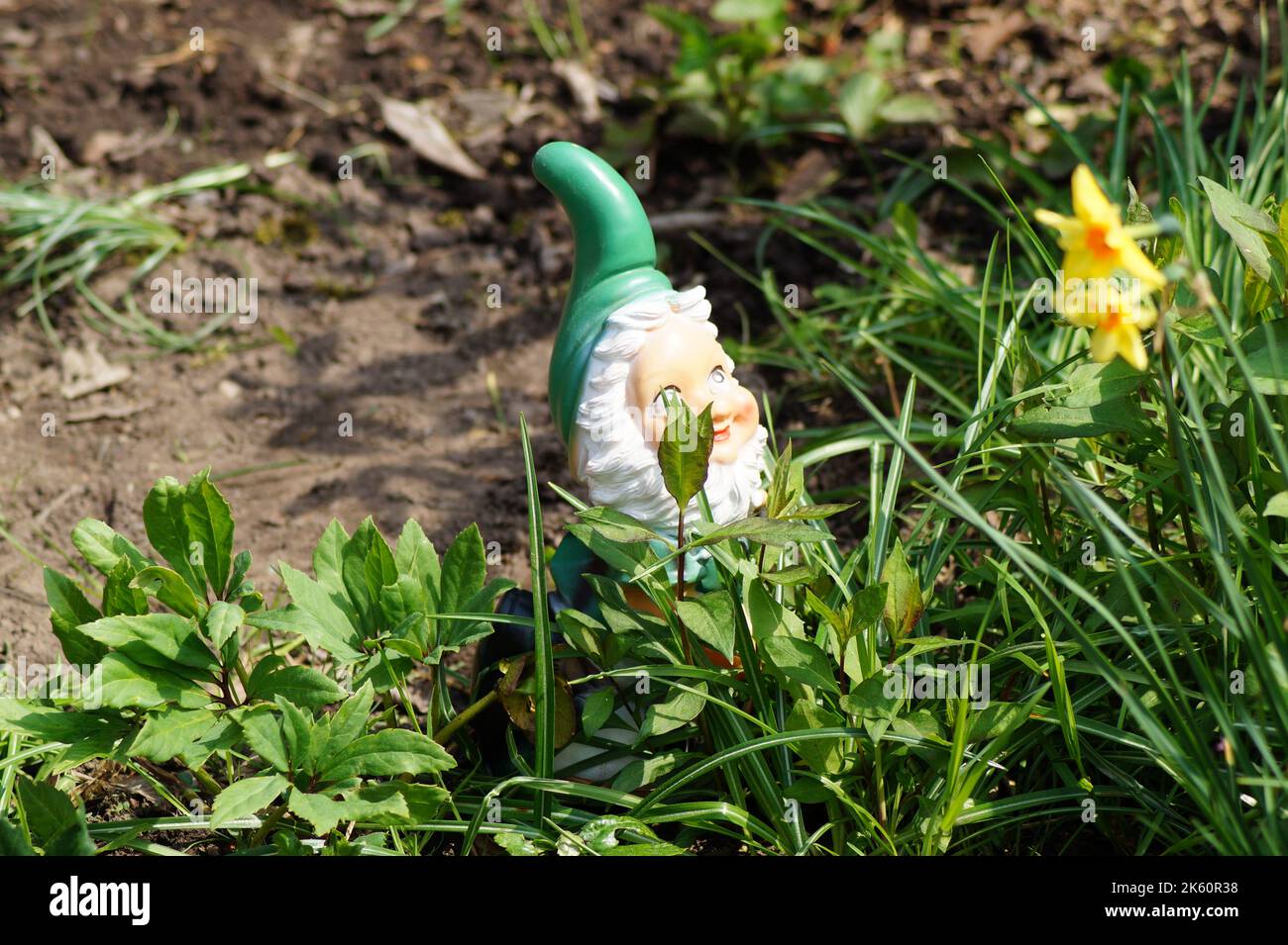 Holz zwerge -Fotos und -Bildmaterial in hoher Auflösung – Alamy