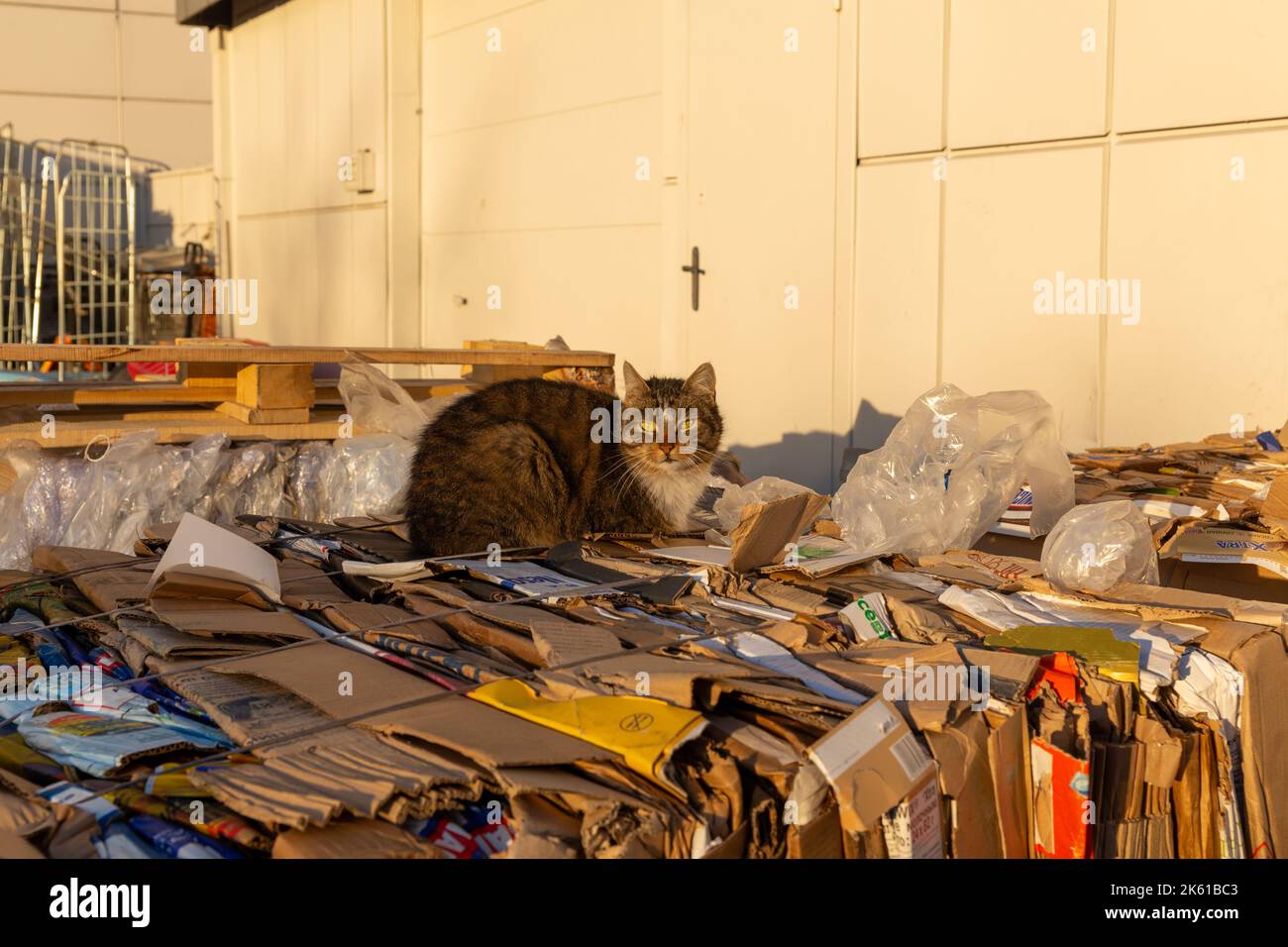 Altpapier recyceln -Fotos und -Bildmaterial in hoher Auflösung – Alamy