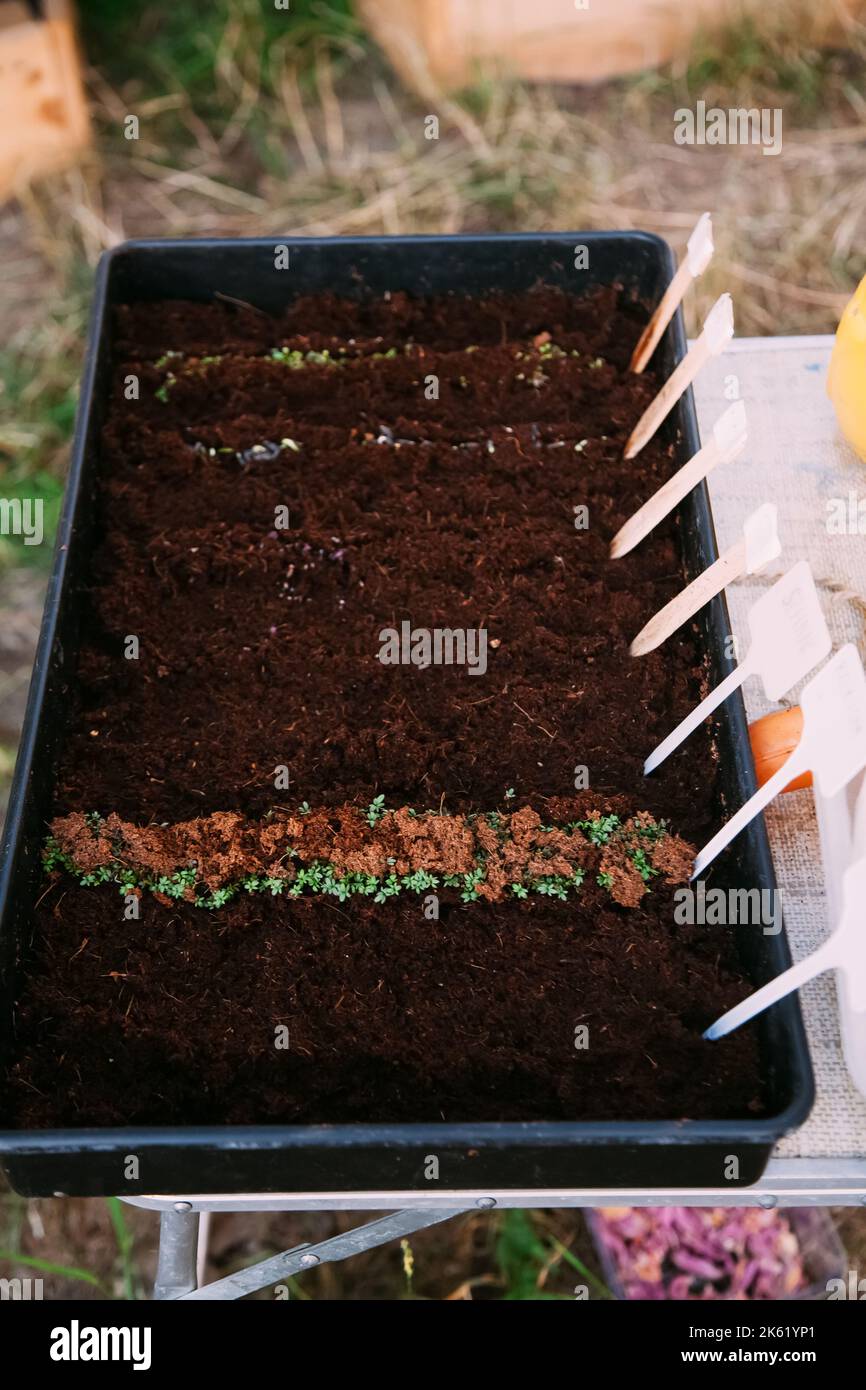 Plant cultivation -Fotos und -Bildmaterial in hoher Auflösung – Alamy