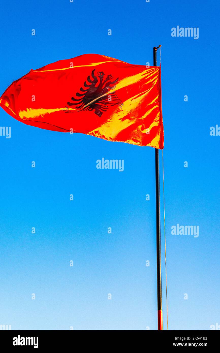 Der albanische adler -Fotos und -Bildmaterial in hoher Auflösung – Alamy