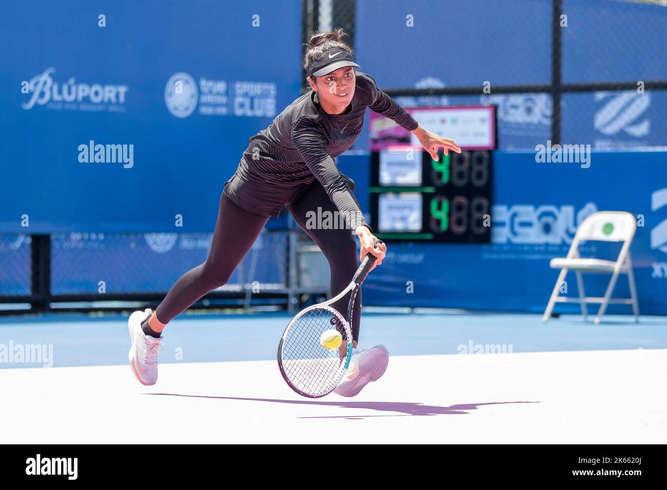Humera baharmus -Fotos und -Bildmaterial in hoher Auflösung – Alamy