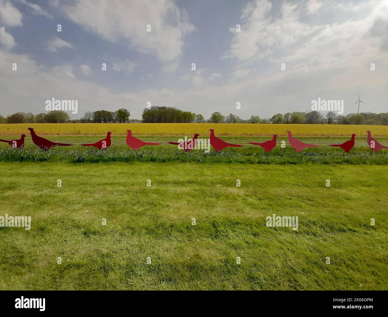 Kaukasus fasane -Fotos und -Bildmaterial in hoher Auflösung – Alamy