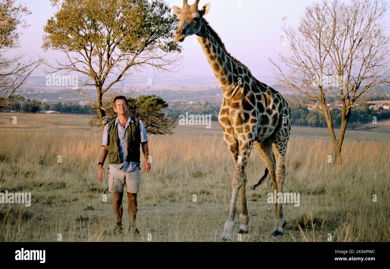 Nigel marven -Fotos und -Bildmaterial in hoher Auflösung – Alamy