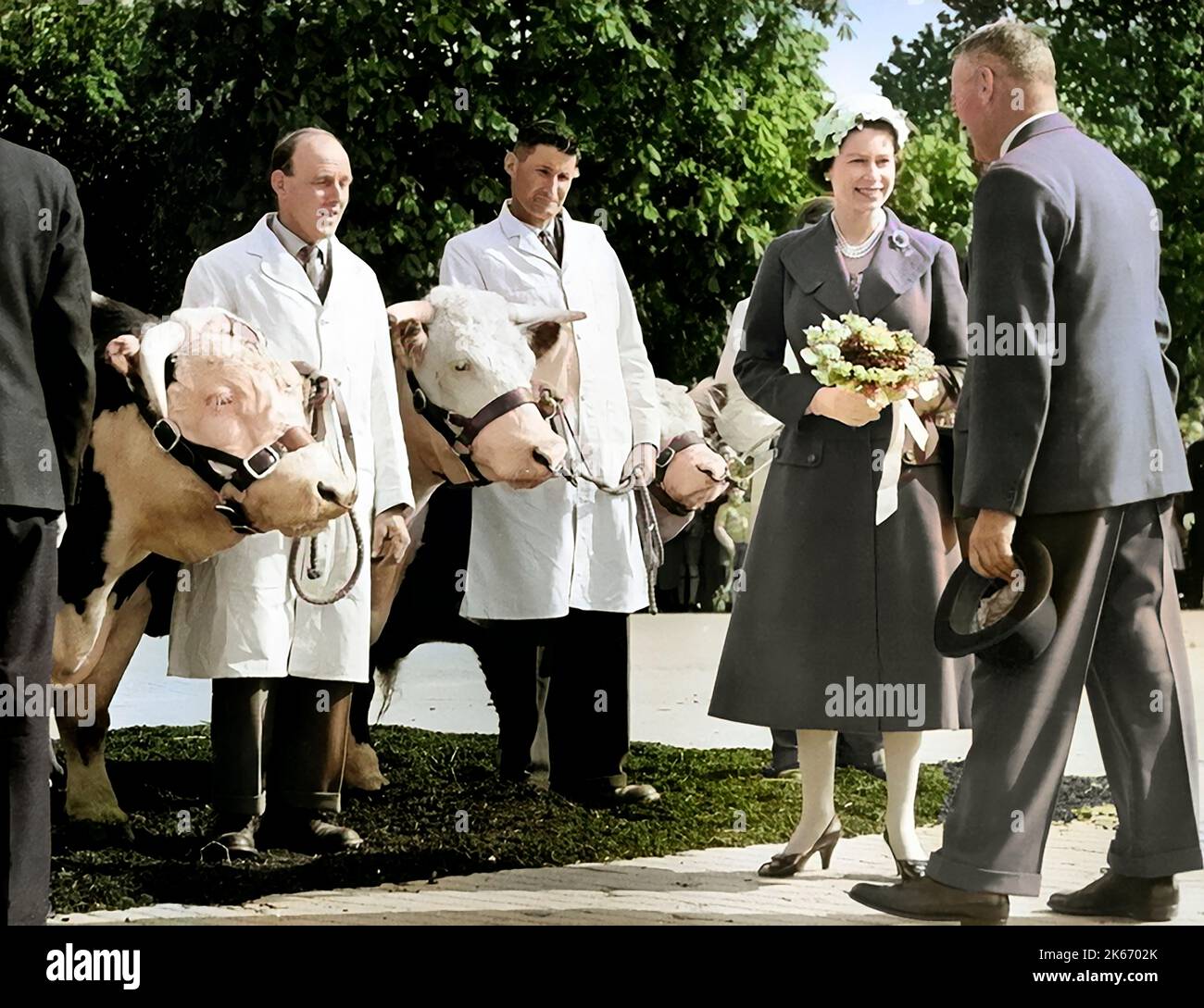 Vida en la granja -Fotos und -Bildmaterial in hoher Auflösung – Alamy
