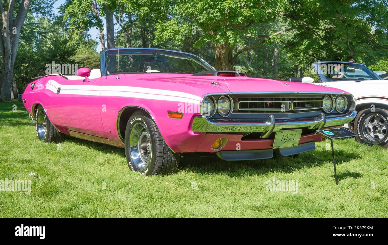 Ford panther -Fotos und -Bildmaterial in hoher Auflösung – Alamy