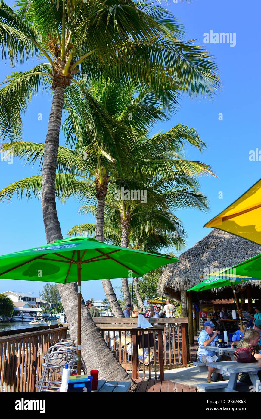 Phuzzys boat shack restaurant -Fotos und -Bildmaterial in hoher ...