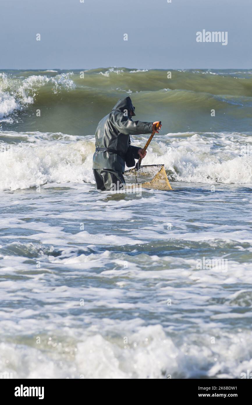 Regionalpark pajurio -Fotos und -Bildmaterial in hoher Auflösung – Alamy