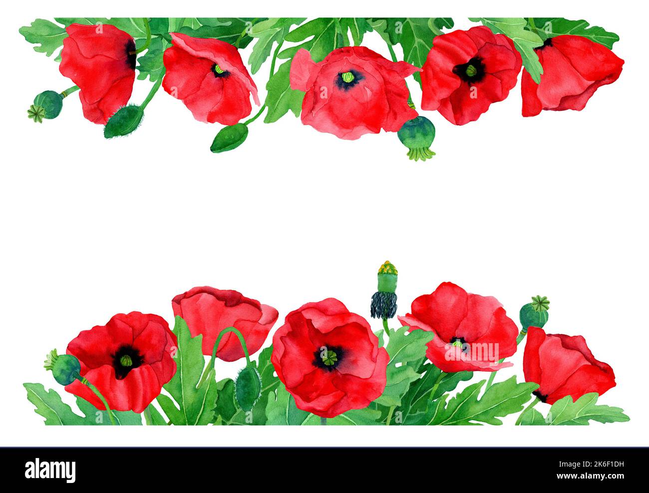 Aquarell handgezeichneter Rahmen aus Mohnblumen und Blättern. Botanische Illustration von roten ...