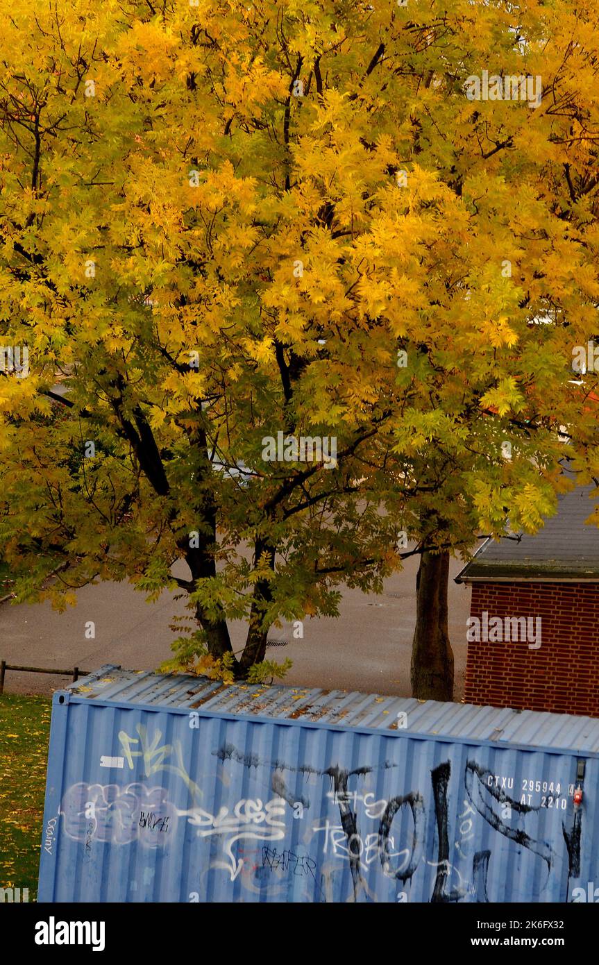 Kastrup/Copenahgen /Dänemark/14 October 2022/Fall durch gelbe ...