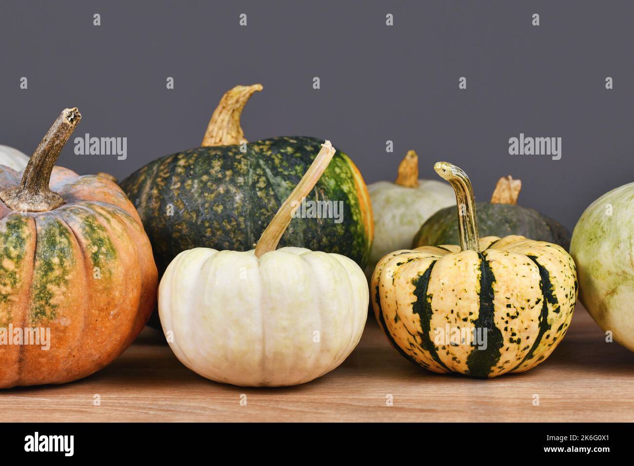 Baby Boo Kürbis und Sweet Dumpling Squash zwischen Xix verschiedener ...