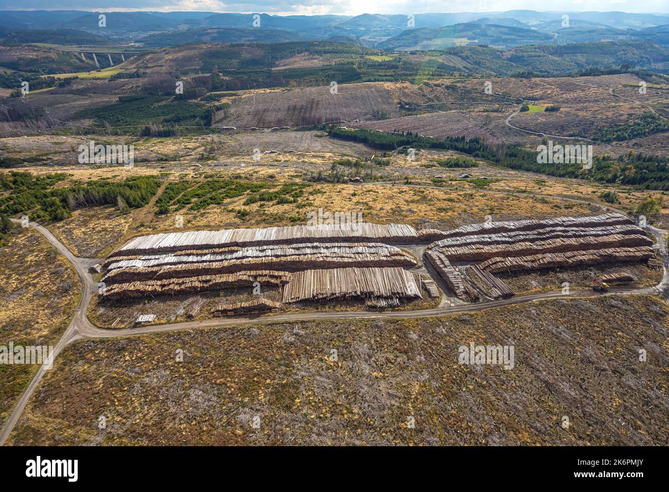 Luftaufnahme, Waldschäden, Waldeinfall, Holzstapel, Baumstämme, Formen ...