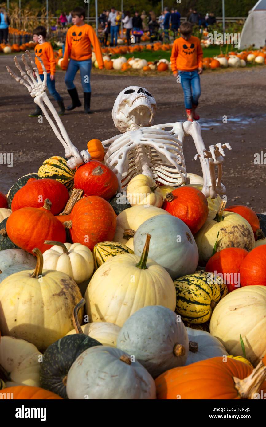 Sunnyfields farm -Fotos und -Bildmaterial in hoher Auflösung – Alamy