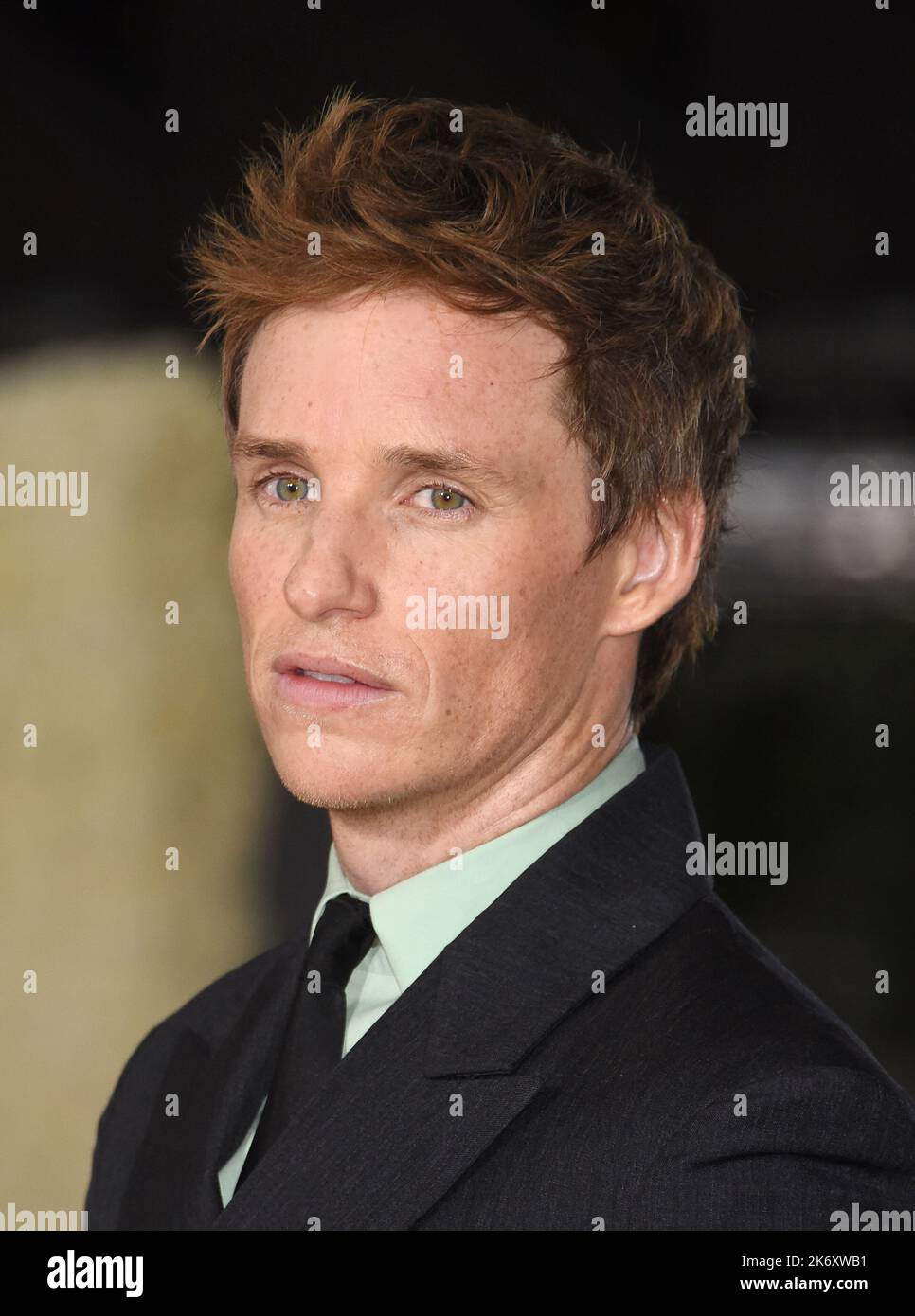 Eddie Redmayne bei der zweiten jährlichen Academy Museum Gala am 15 ...