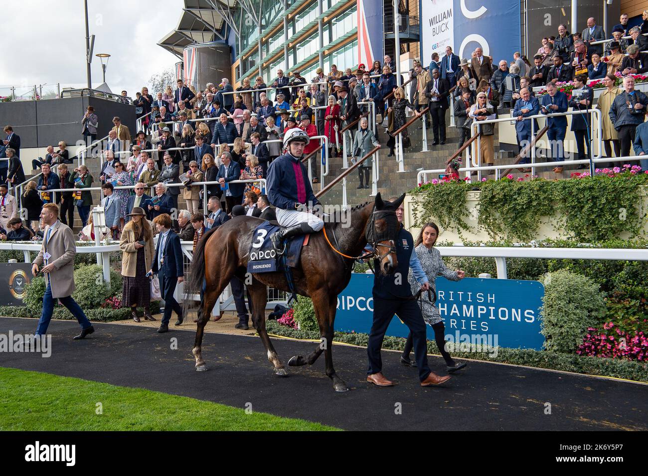 Ascot, Bergen, Großbritannien. 15.. Oktober 2022. Das Pferd Insinuendo ...