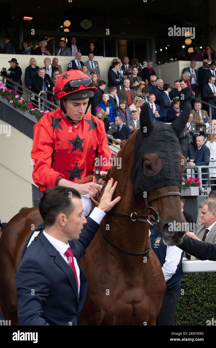 Ascot, Bergen, Großbritannien. 15.. Oktober 2022. Horse the Revenant ...