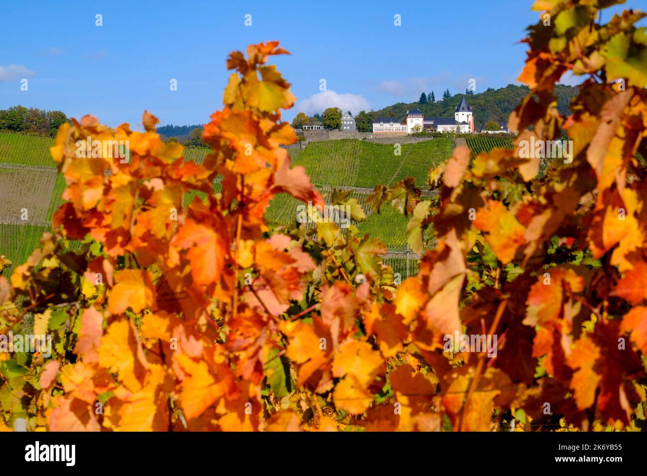 DEU, Deutschland, Deutschland, Rheinland-Pfalz, Puenderich, 11.10.2022 ...