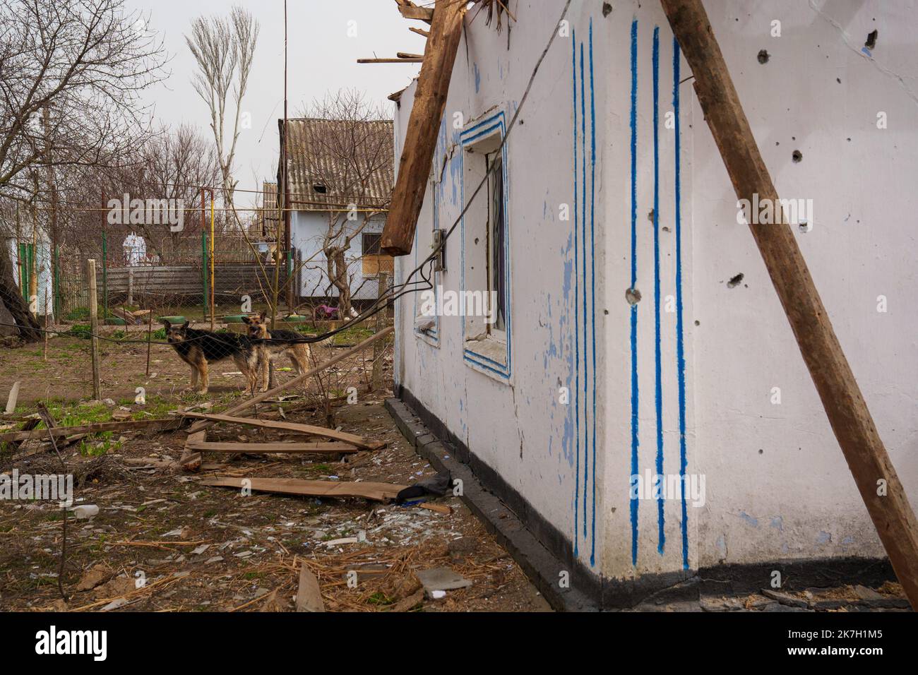©Gilles Bader / Le Pictorium/MAXPPP - Prybuz'ke 01/04/2022 Gilles Bader ...