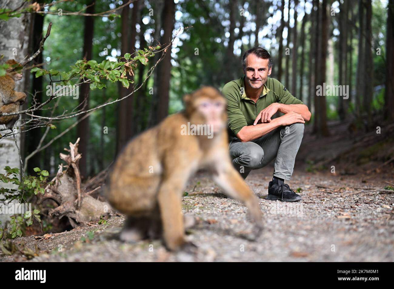 Affe bilder -Fotos und -Bildmaterial in hoher Auflösung – Alamy