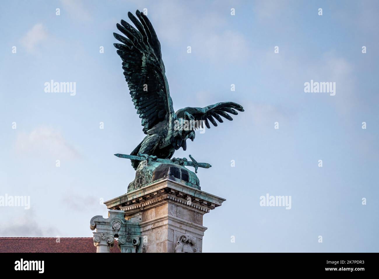 Turul bird as hungarian national bird -Fotos und -Bildmaterial in hoher ...
