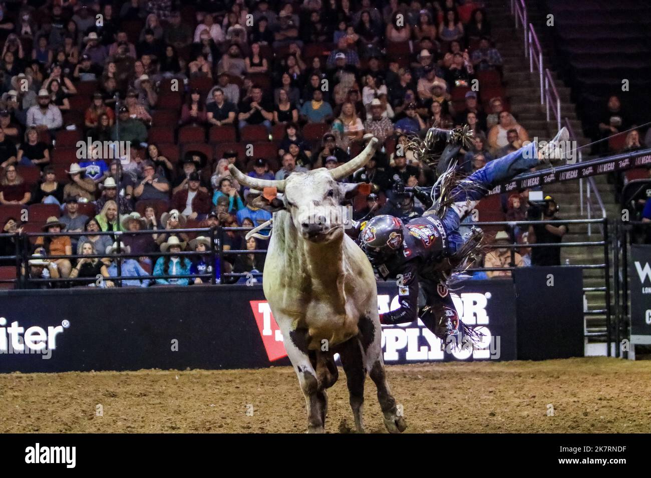 Bullenreiter aus dem ganzen Land kamen über das ganze Wochenende in die ...