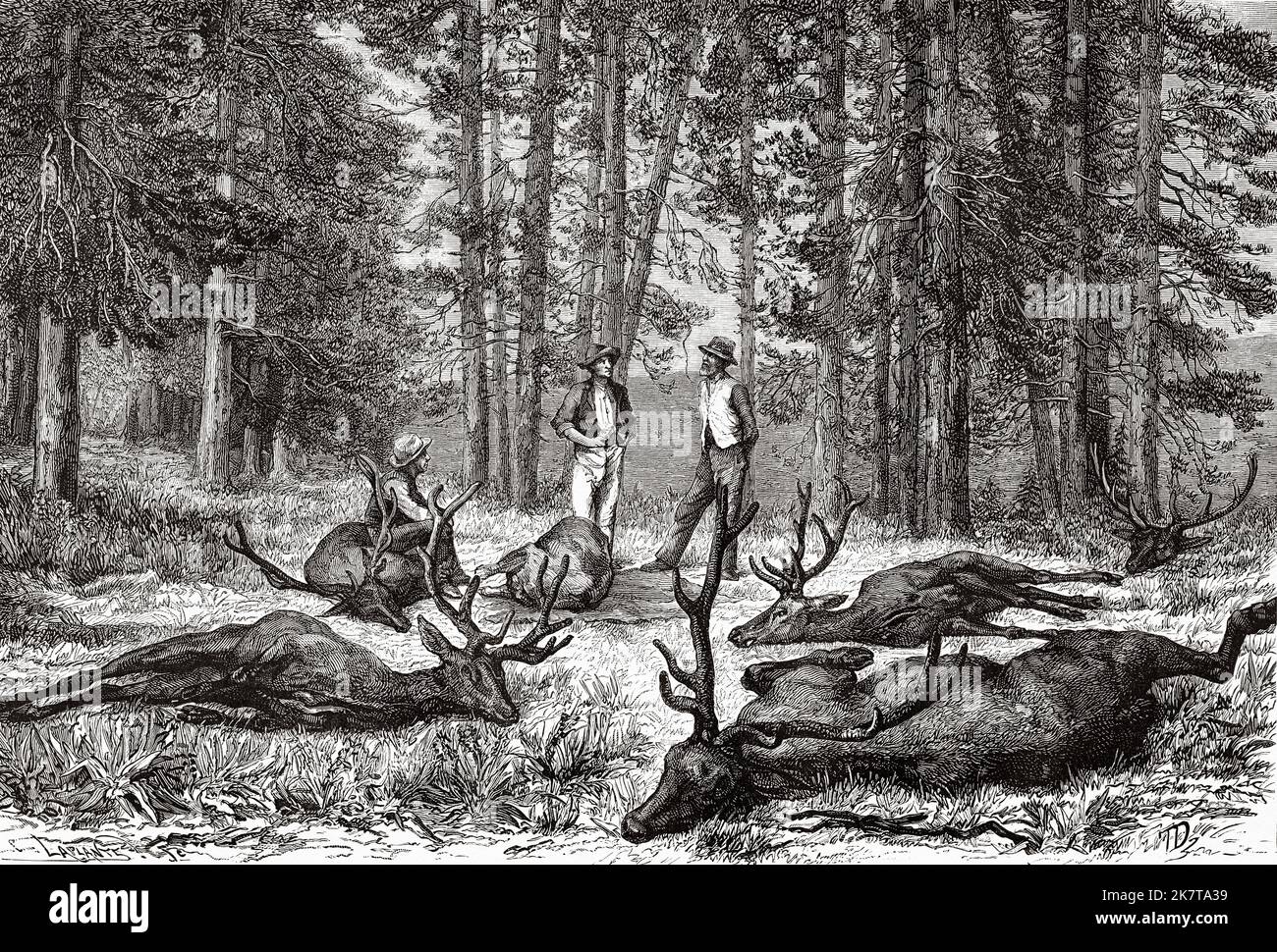 Gustavus cheyney doane -Fotos und -Bildmaterial in hoher Auflösung – Alamy