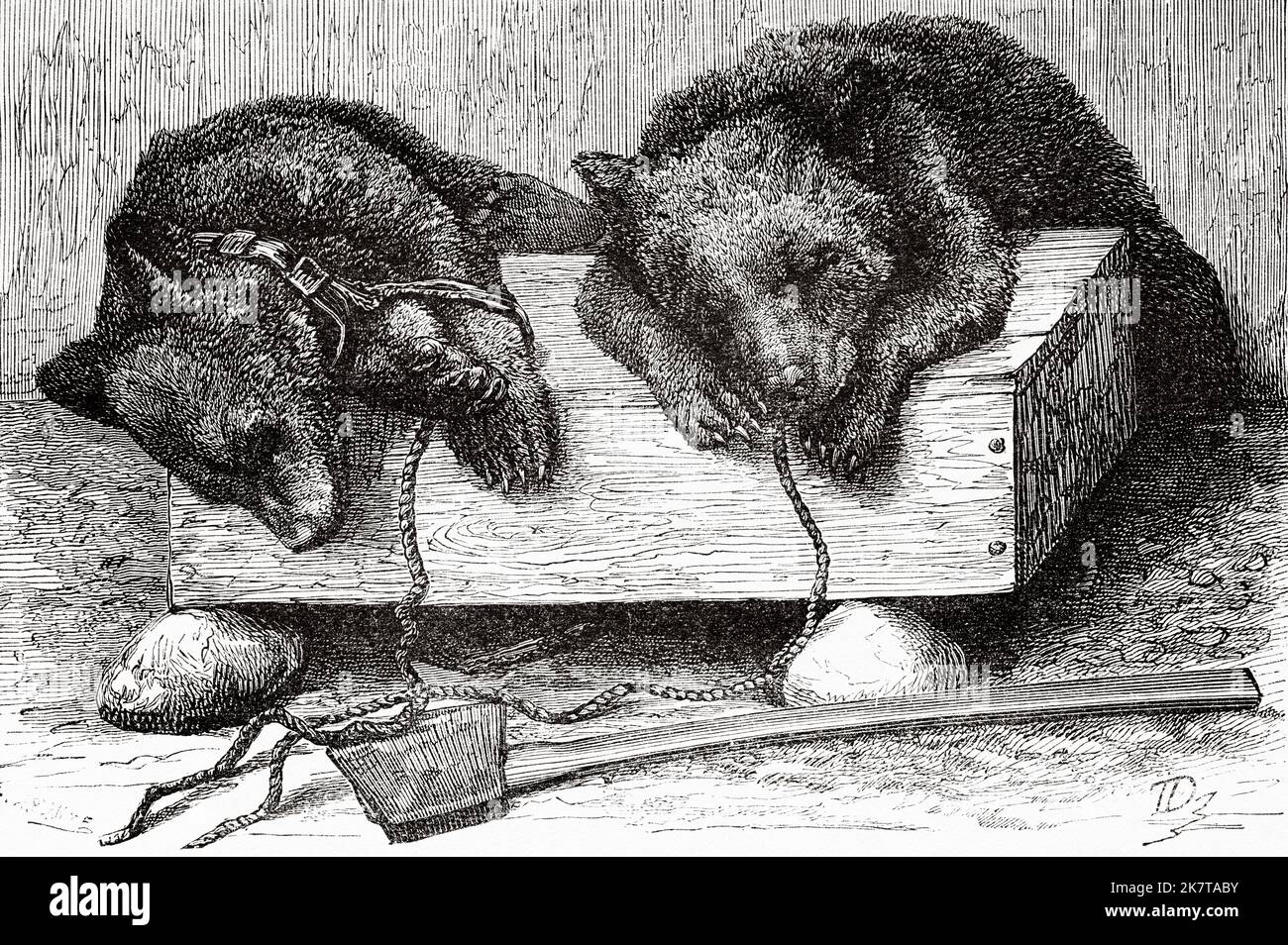 Gustavus cheyney doane -Fotos und -Bildmaterial in hoher Auflösung – Alamy