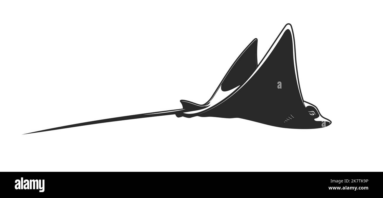 Manta-Rochen, Stachelrochen, Krampffische. Ozean Unterwasser Tier ...