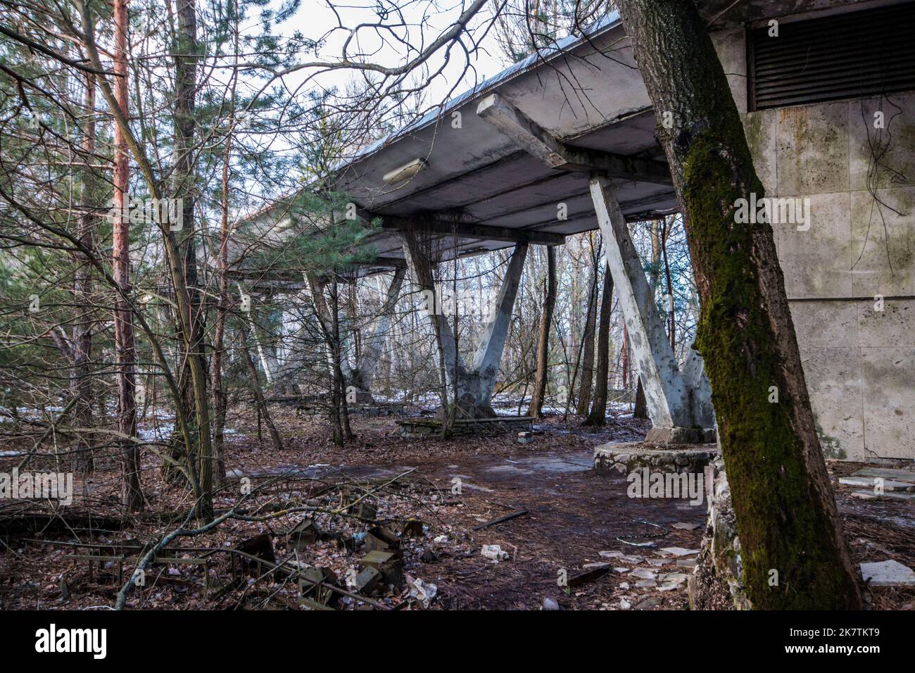 Radiation reading -Fotos und -Bildmaterial in hoher Auflösung – Alamy
