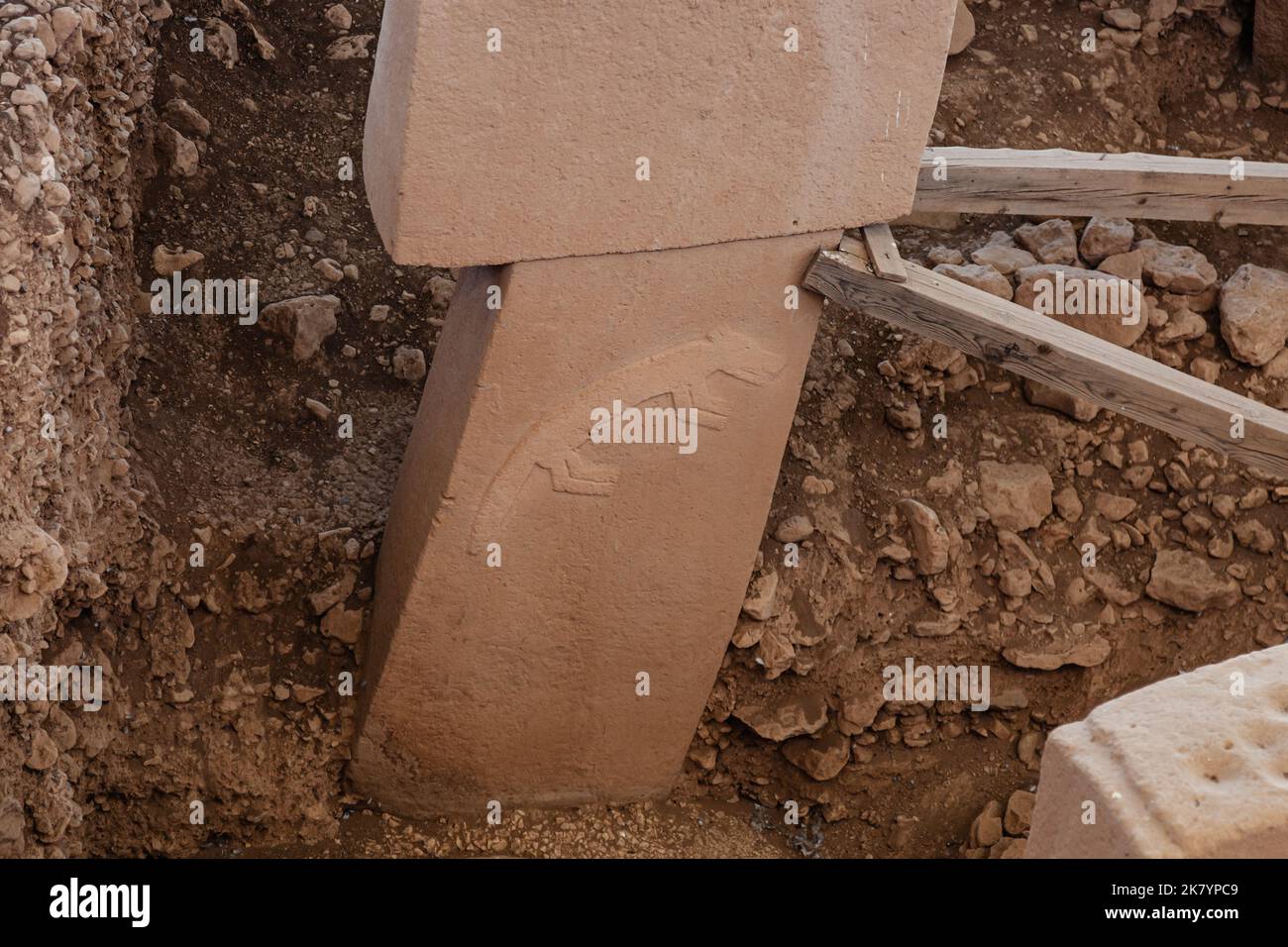 Wolf Relief Skulptur. Eine der Reliefskulpturen in Göbeklitepe. Der ...