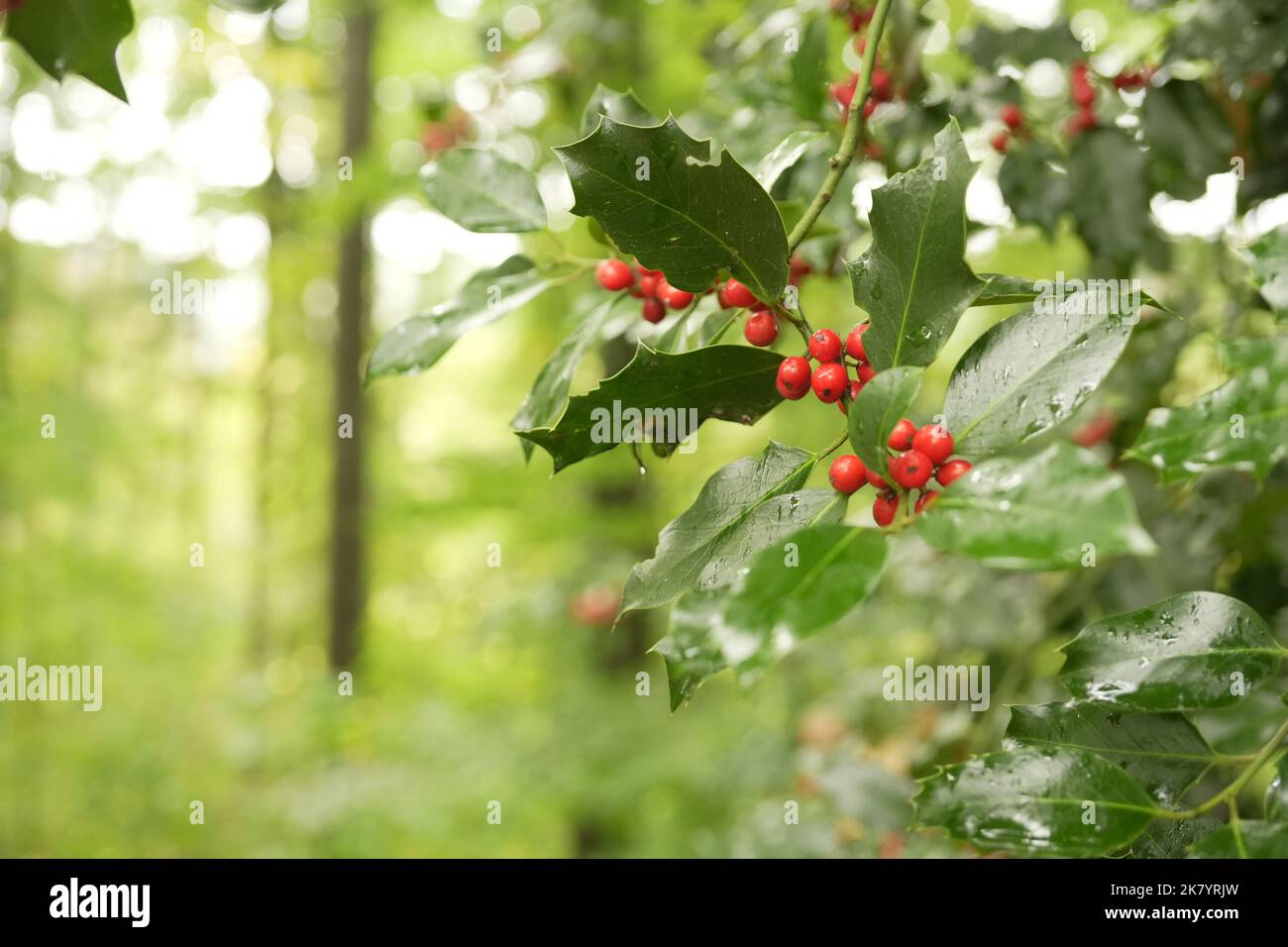 Sfondi hintergrund -Fotos und -Bildmaterial in hoher Auflösung – Alamy