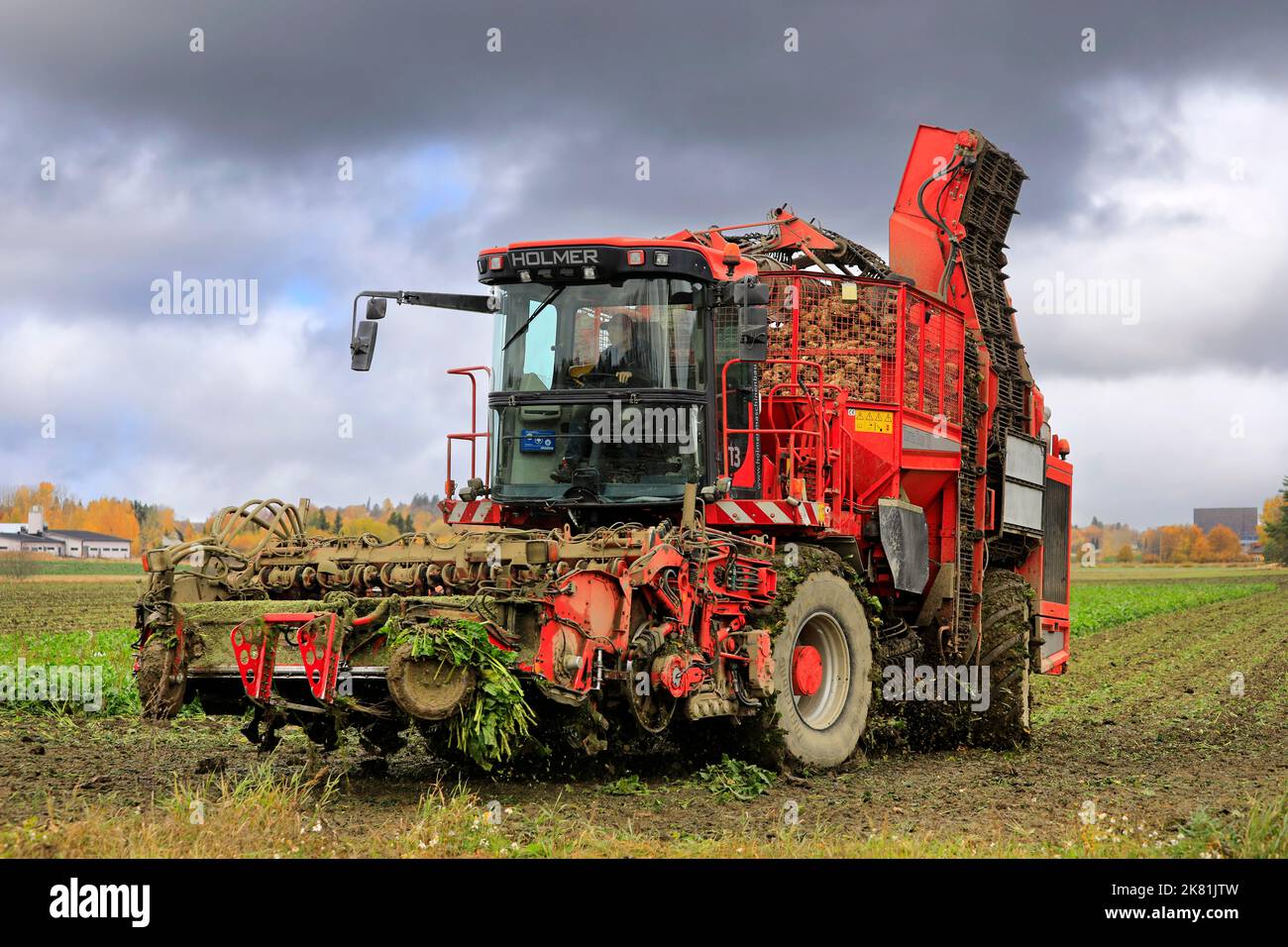 Landwirt im Feld, der Zuckerrüben mit Holmer Terra Dos T3 6-reihiger ...