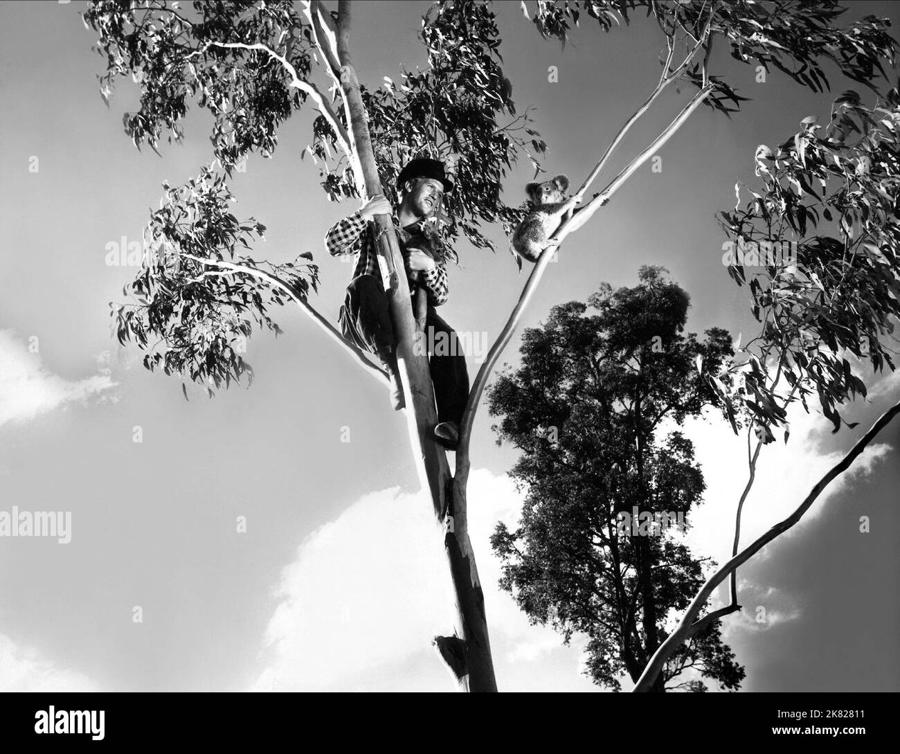 Gordon Jackson Film Eureka Stockdale (1949) Charaktere: Torn Kennedy ...