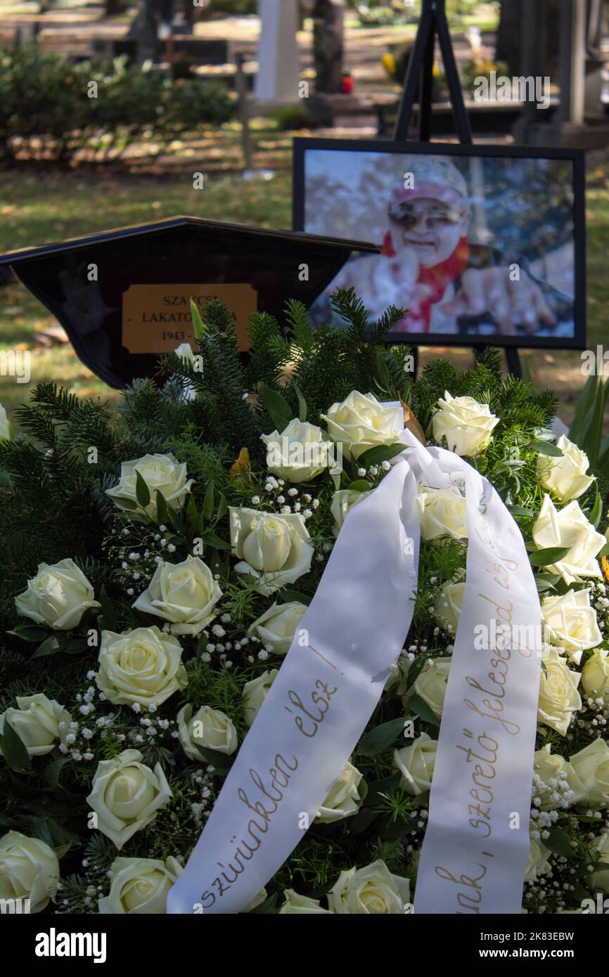 Bela szakcsi lakatos -Fotos und -Bildmaterial in hoher Auflösung – Alamy