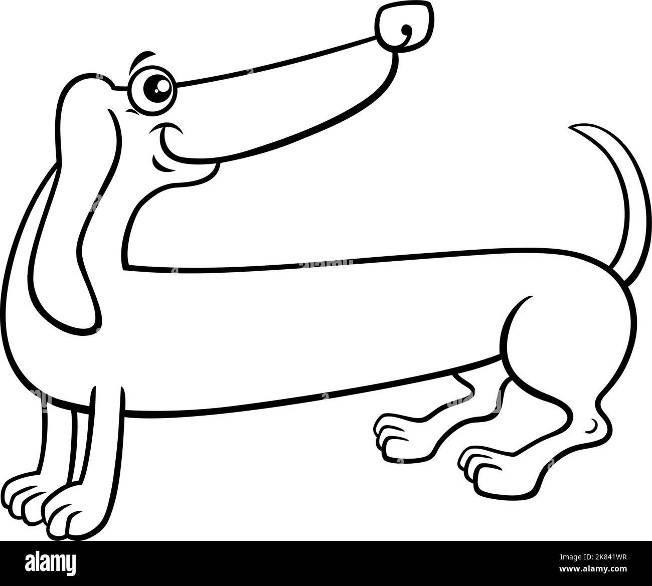 Schwarz-Weiß-Cartoon-Illustration von reinrassigen Dackel Hund Comic ...