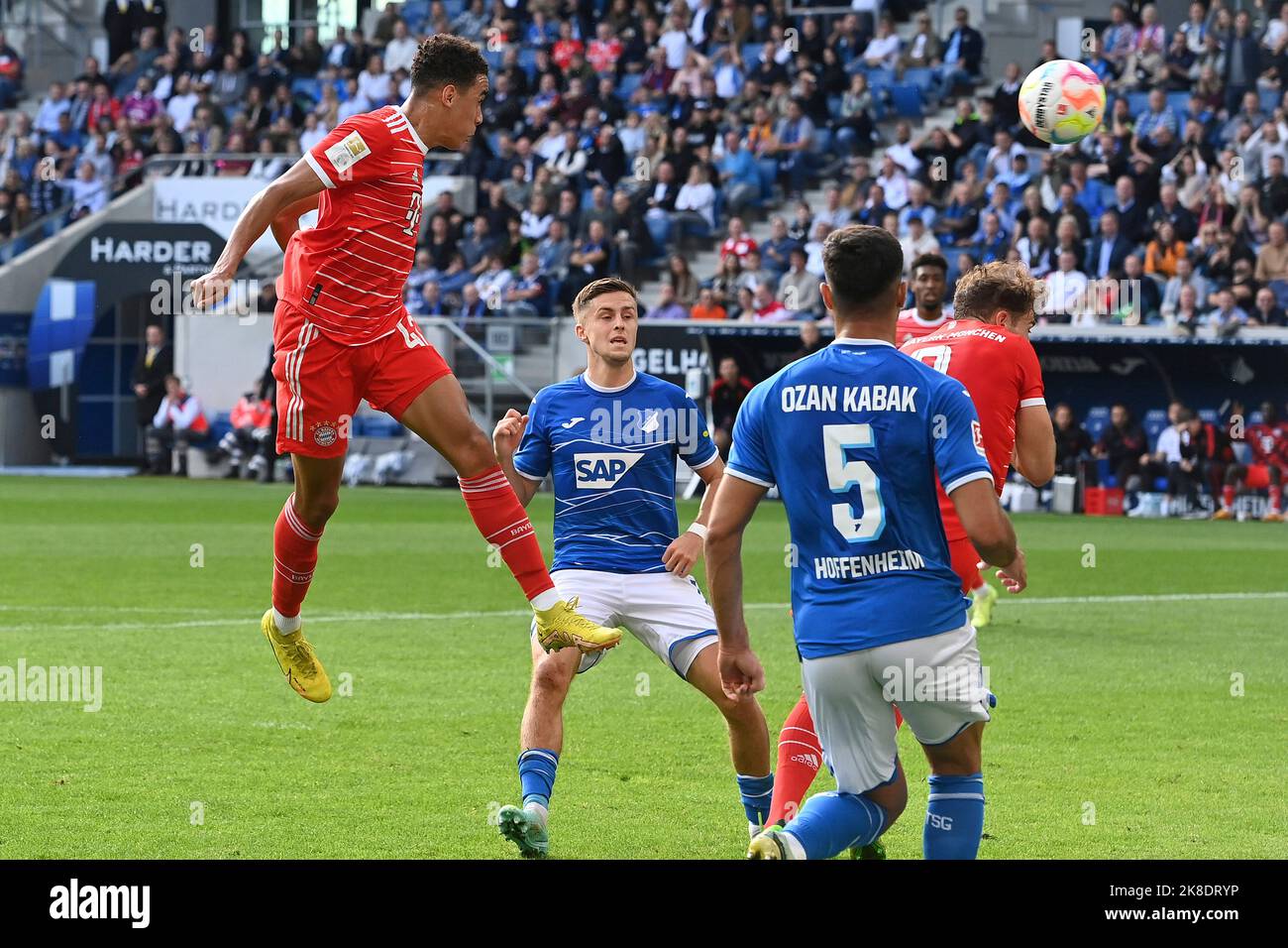 S saison 2023 saison 2023 -Fotos und -Bildmaterial in hoher Auflösung ...