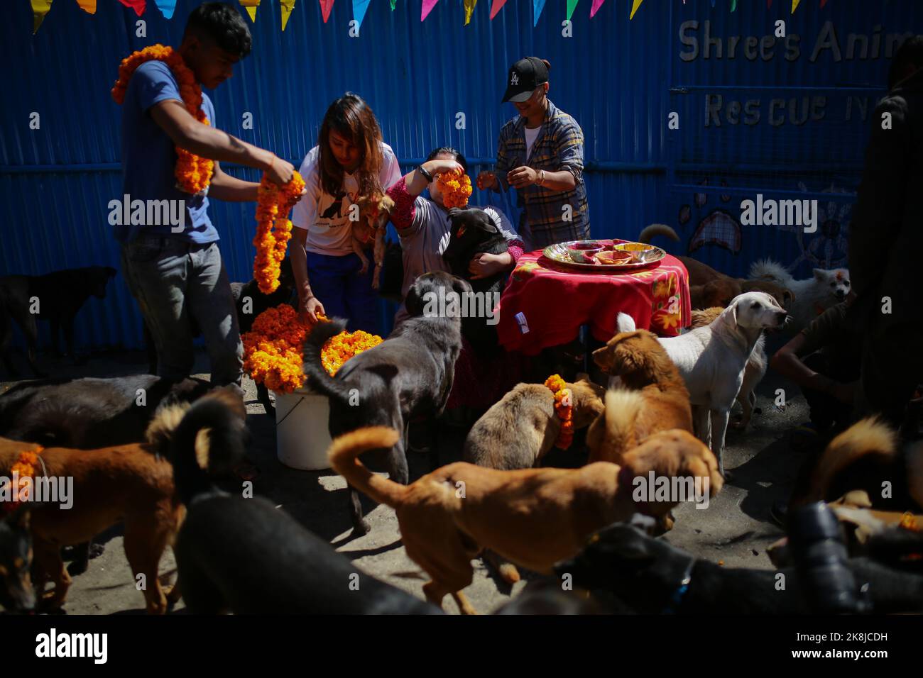 Nepal. 24. Oktober 2022. Die Völker beten Hunde an, um das Kukur Tihar ...