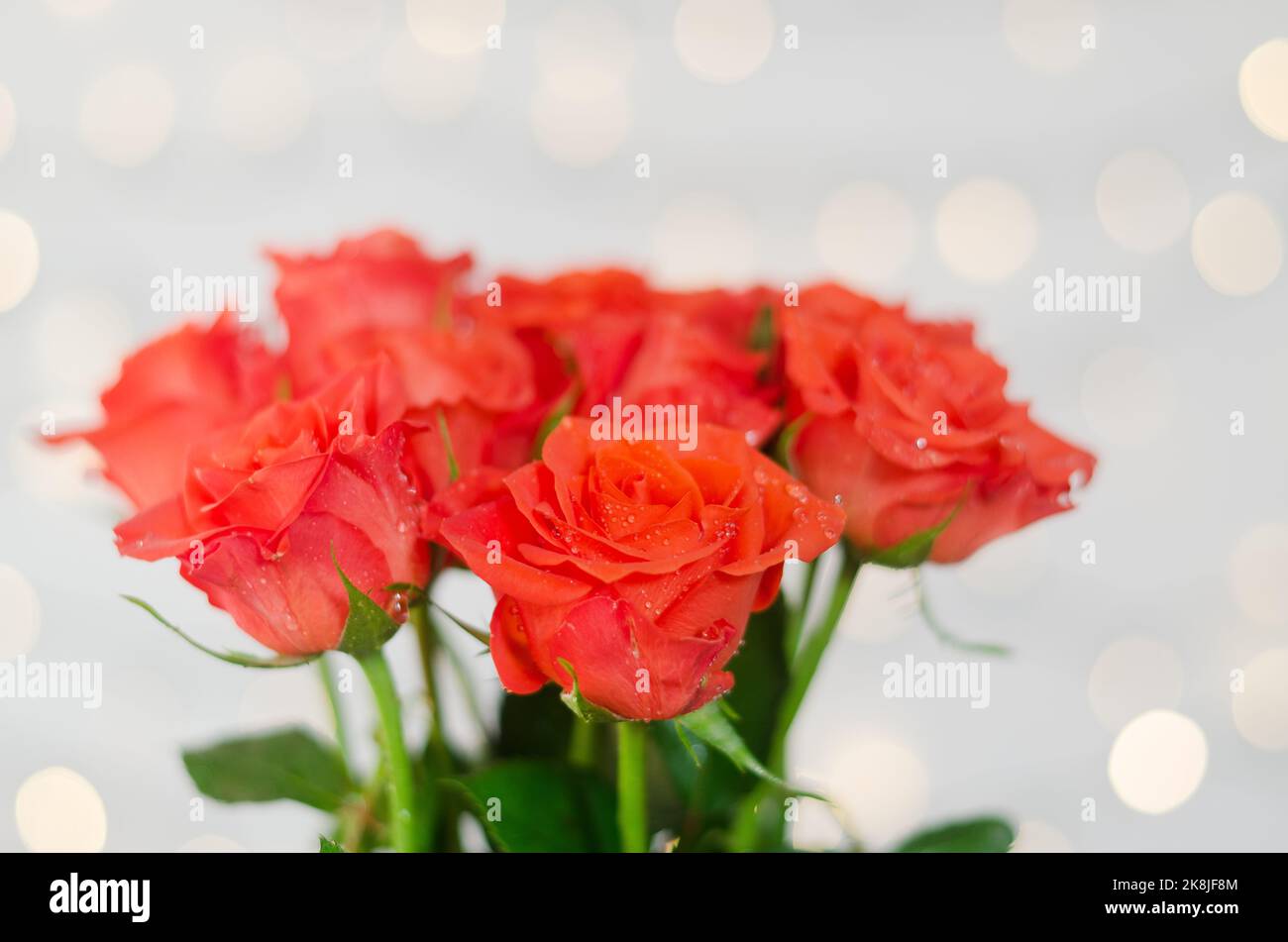 Happy birthday card red roses -Fotos und -Bildmaterial in hoher ...