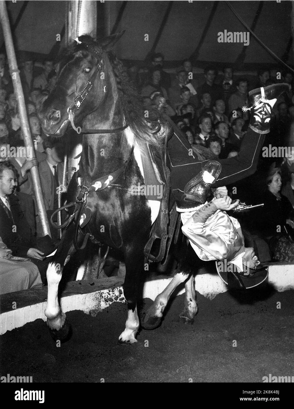 Circus horses Schwarzweiß-Stockfotos und -bilder - Alamy