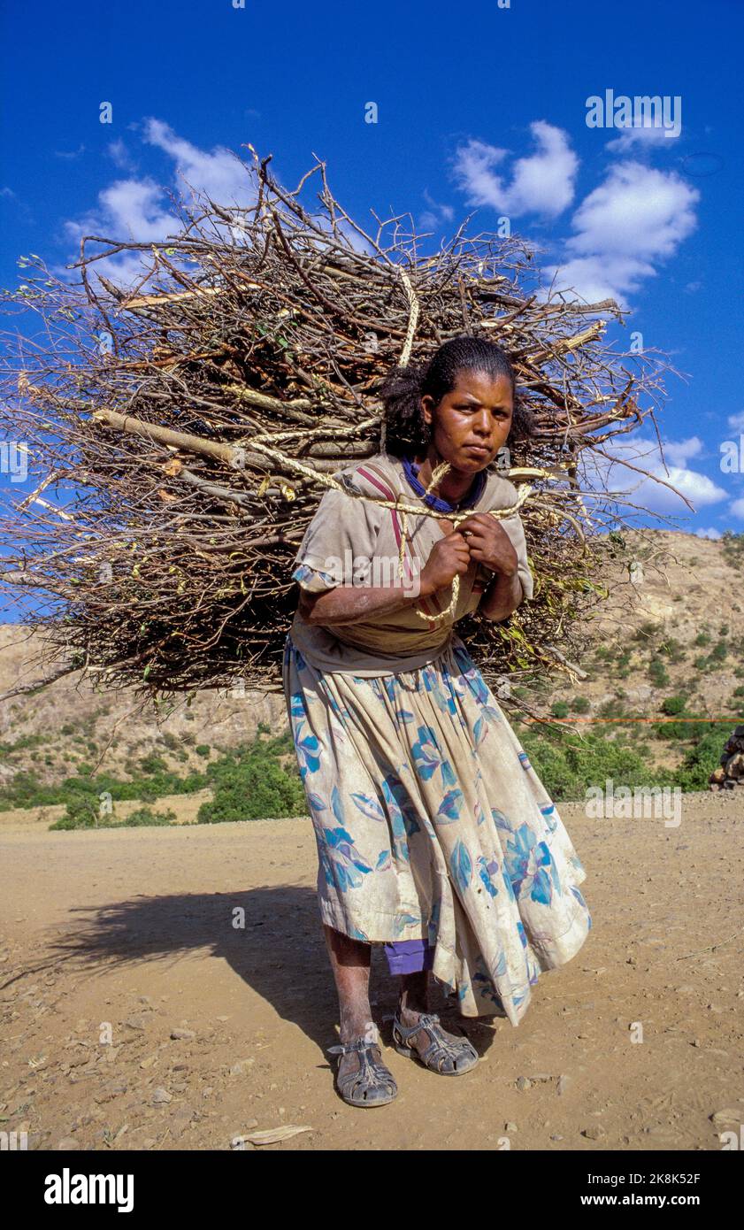 Deforestation ethiopia -Fotos und -Bildmaterial in hoher Auflösung – Alamy