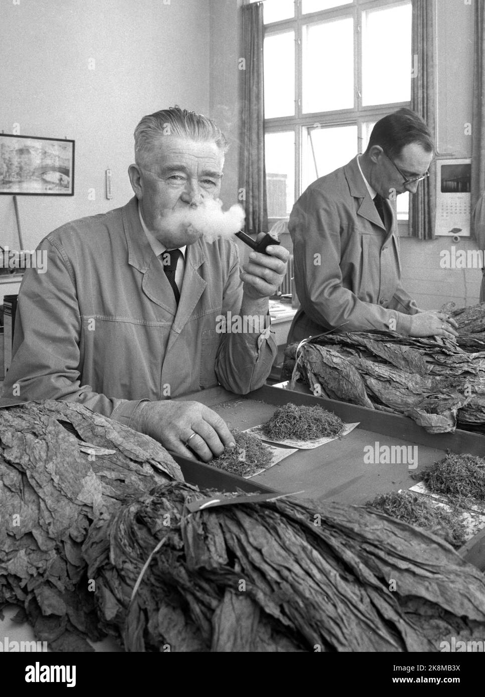 Foto eines der wichtigsten tabakbezirke der vereinigten staaten -Fotos ...