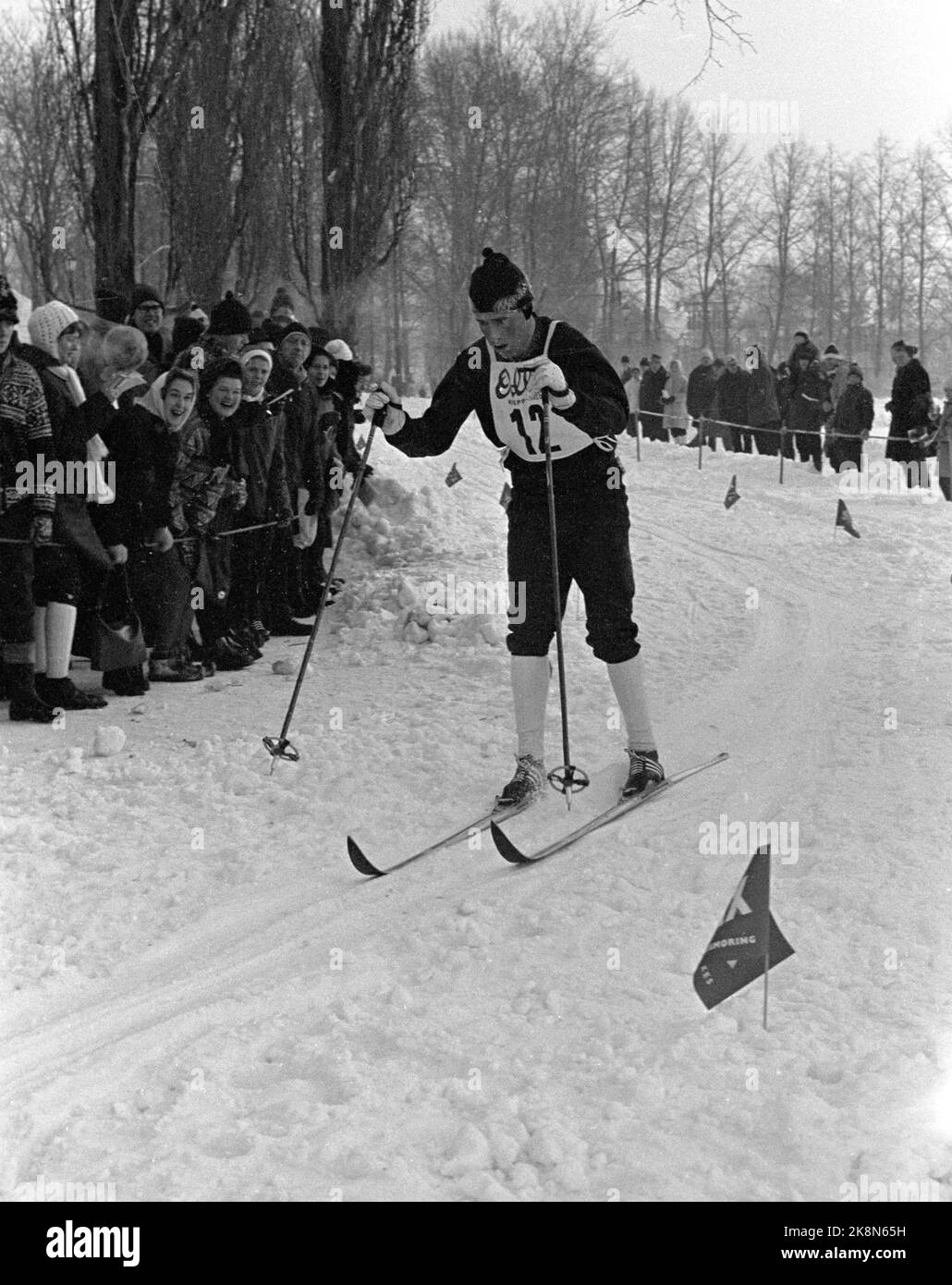 Magne myrmo -Fotos und -Bildmaterial in hoher Auflösung – Alamy